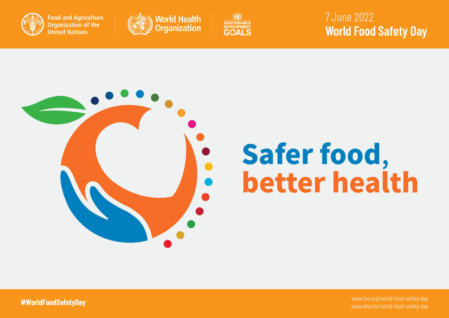 On World Food Safety Day IDF Europe calls for safe and healthy diets ...