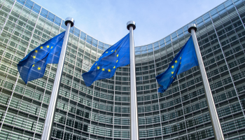 European Commission Revision of the Directive on Driving Licences - IDF ...